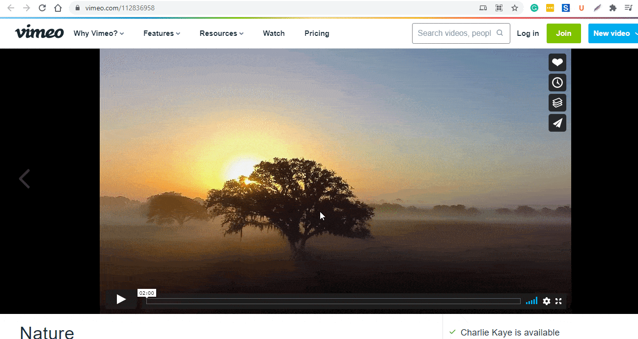 How to Embed Vimeo Videos in WordPress