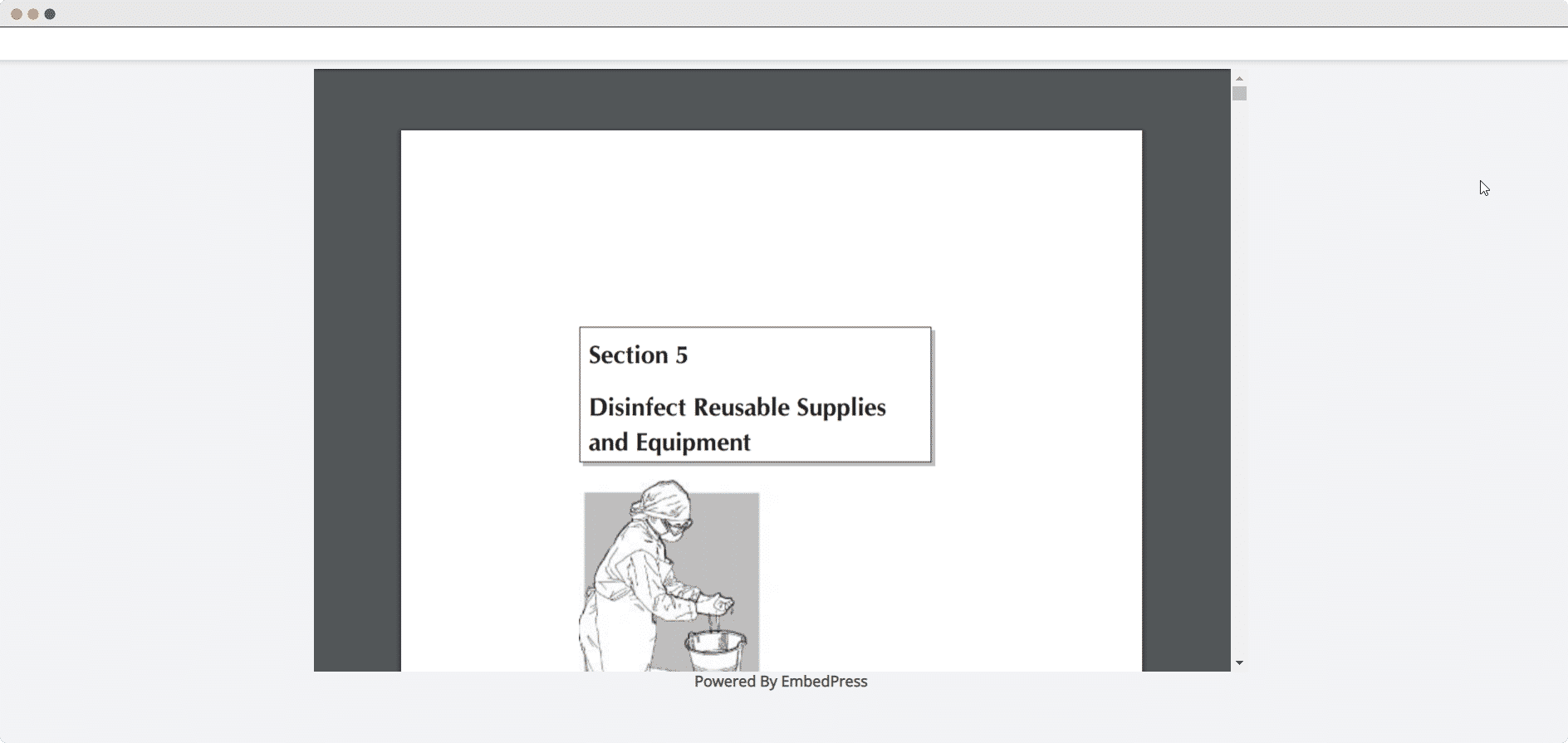 How To Embed Document And PDF In WordPress