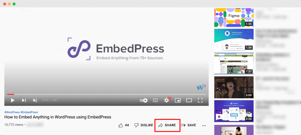 How To Autoplay And Loop YouTube Videos In WordPress