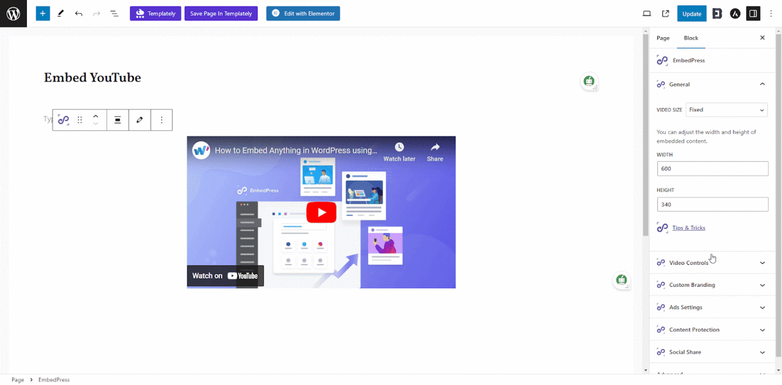 How to Embed YouTube Videos in WordPress